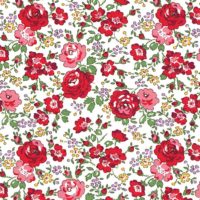 After Sewing Bee: Exclusive Interview With Brogan Sommerville