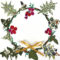 Liberty Christmas Cards | Snowflake, Robin & Stars