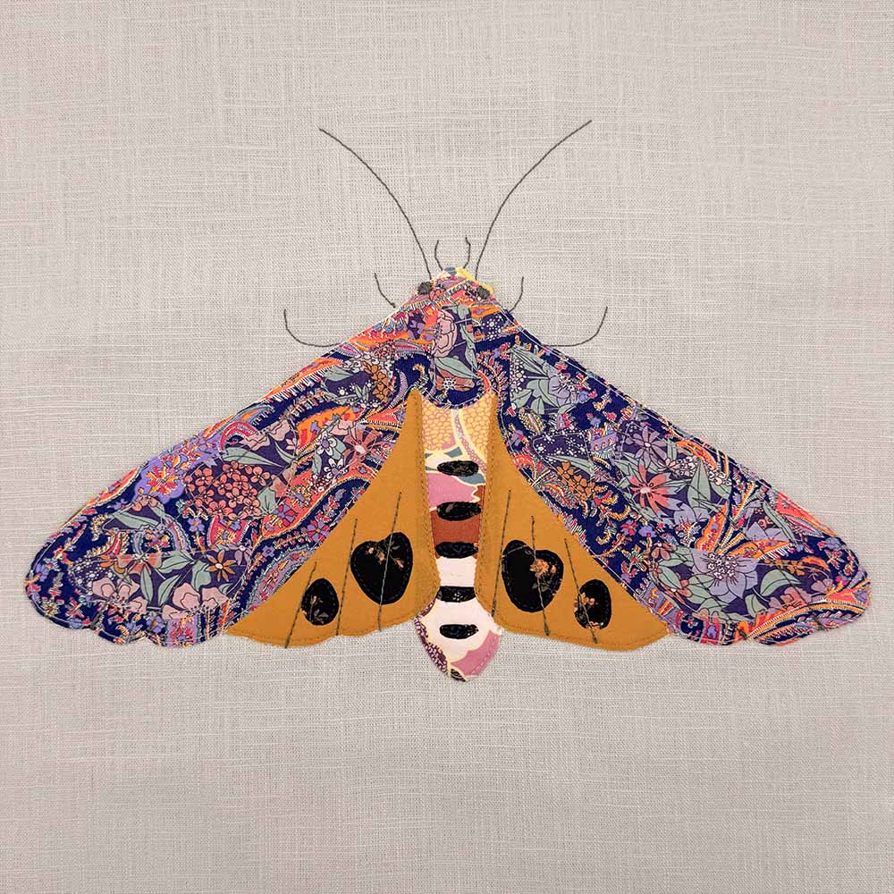 Moth Collection - Alice Caroline