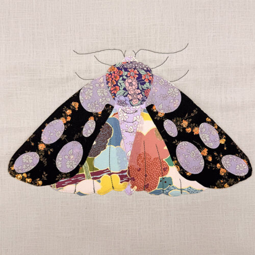 Moth Collection - Alice Caroline